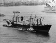 Coral Chief I - WikiSwire