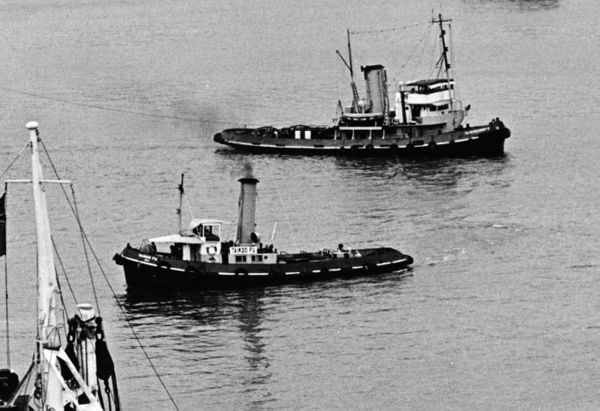 Tug Taikoo Fu - WikiSwire